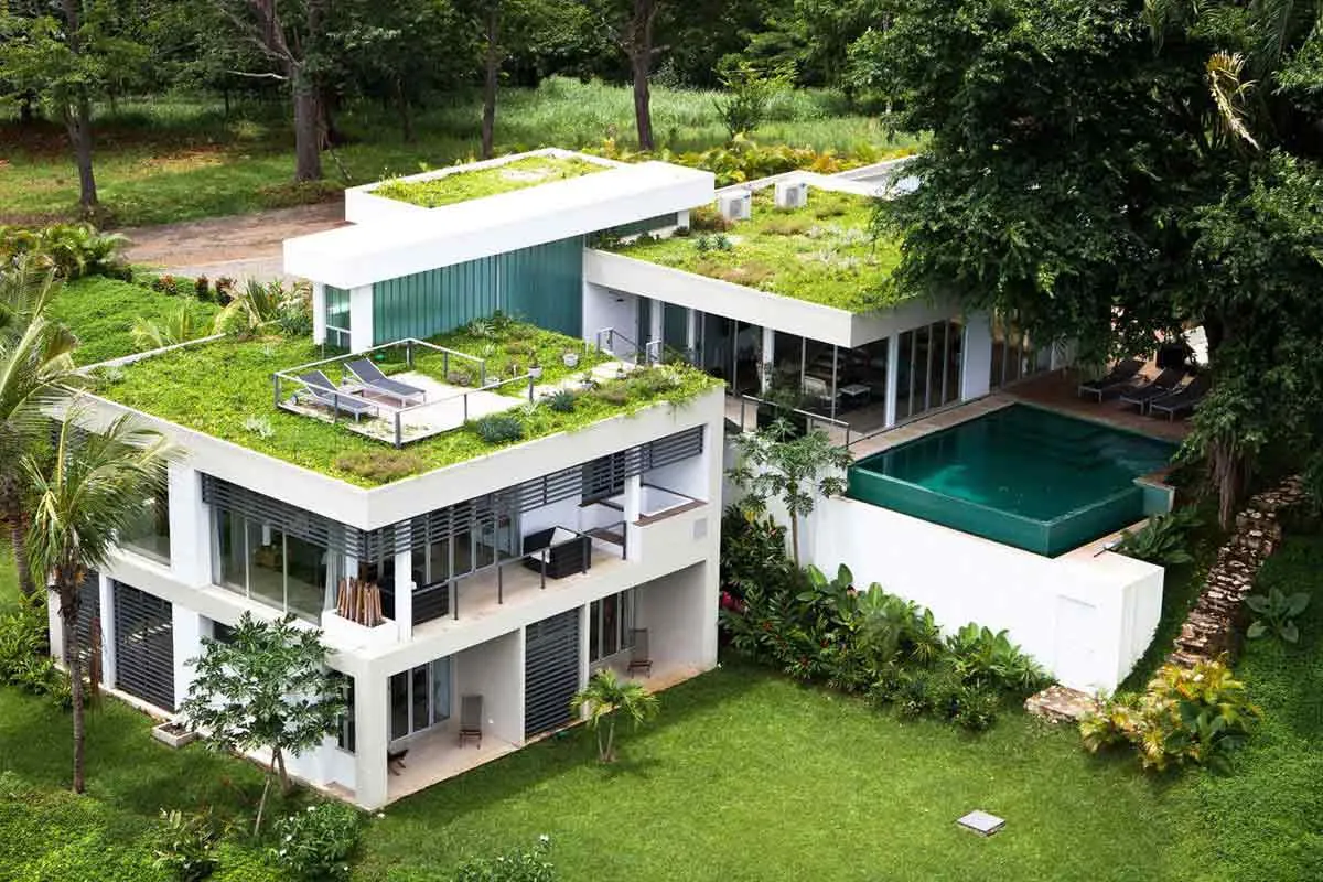 Manfaat Green Roof dalam Konsep Rumah Tropis dan Tips Penerapannya