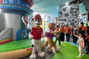 Berita Paw Patrol Adventure Bay Bounce Terbaru Hari Ini - Bobo