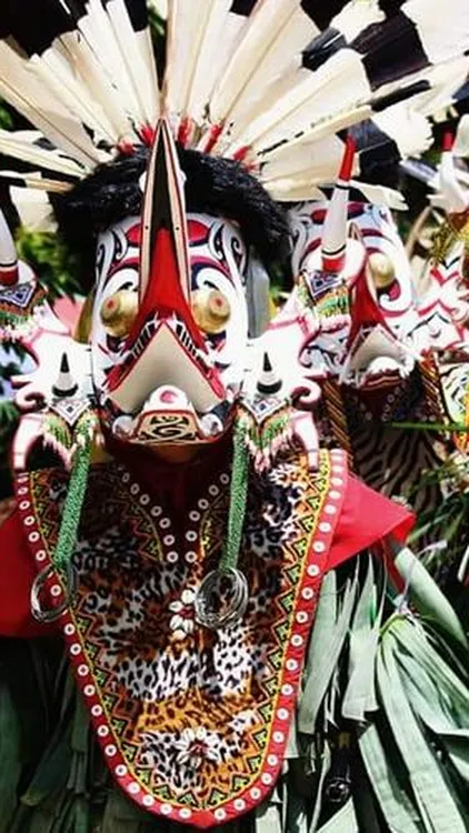 Sejarah Lagu Cik Cik Periuk, Berawal dari Keresahan Suku Dayak