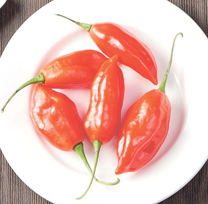 Harus Tahu, Inilah Jenis-jenis Cabai yang Biasa Digunakan Untuk Masak ...
