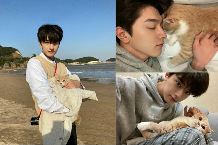 Kepoin 6 Fakta Lin Yi, Aktor Cina Rasa Idol KPop yang Bikin Oleng ...