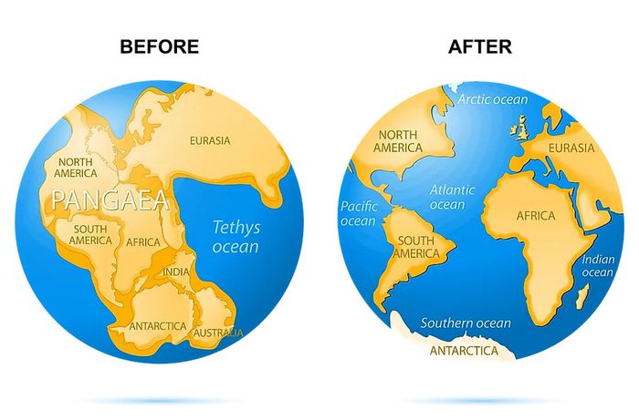 Mengenal Superbenua Terakhir Pangea, Terpecah Menjadi Tujuh Benua - Semua Halaman - National ...