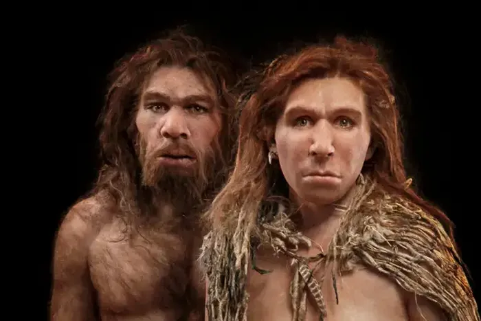 Ukiran di Tulang Rusa, Karya Seni Tertua Manusia Purba Neanderthal ...