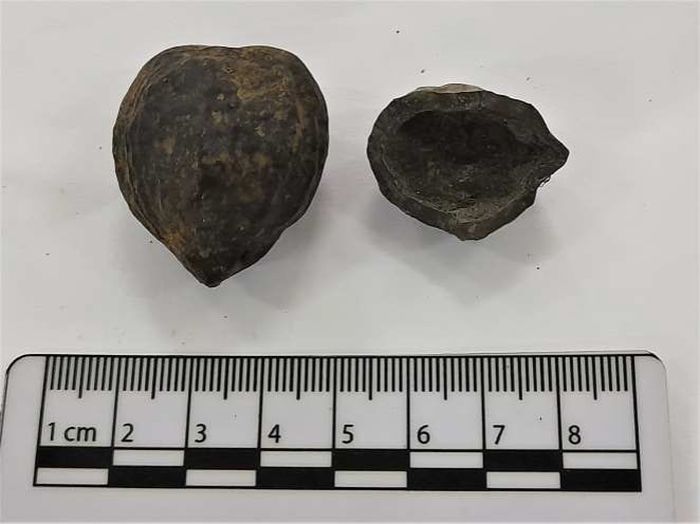 Situs Bongal Singkap Jejak Perdagangan Zaman Romawi di Nusantara ...