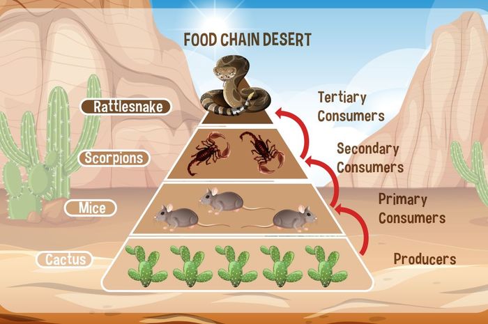 Apa yang Dimaksud dengan Interaksi Predasi dalam Ekosistem? Ini ...