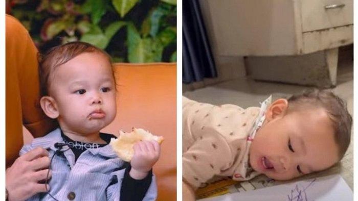 Dijuluki Bayi Jenius, Viral Sosok Kenneth Bayi Cerdas yang Hafal Rumus Matematika dan Nama Organ ...