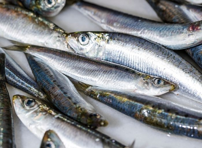Orang Belanda Sering Makan Mentah, Ini Dia Manfaat Ikan Haring - Semua ...