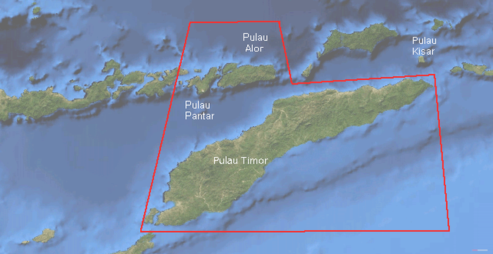 Peneliti Ungkap Hubungan Tanaman dan Bahasa Abui yang Terancam Punah di ...