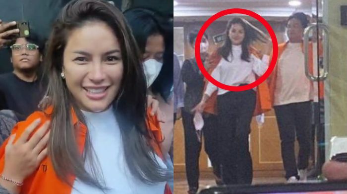 Komentar Vadel Badjideh Soal Kasus Nikita Mirzani, Kini Dipenjara Juga