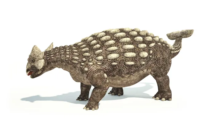 Macam-Macam Dinosaurus: Ini 10 Tipe Dinosaurus yang Paling Tersohor ...