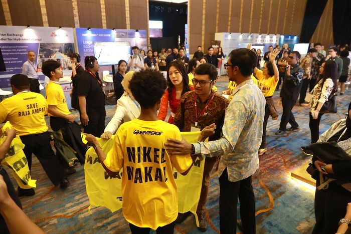 Di Balik Tagar Save Raja Ampat dan Ekspansi Nikel yang Kian Gawat - Semua Halaman - National ...