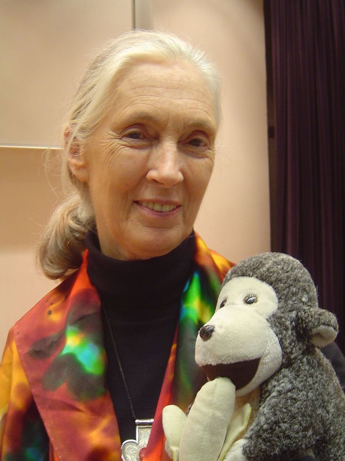 Pesan Terakhir Jane Goodall: 'Kita Sedang Menghancurkan Bumi ...