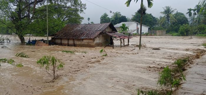 Pelajaran Banjir Sumatra: Perubahan Tutupan Lahan Seharusnya Bisa ...