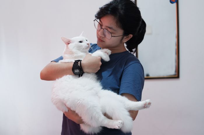 Perhatikan Tanda-Tanda Ini pada Kucingmu, Bisa Jadi Ini Pertanda Kalau ...