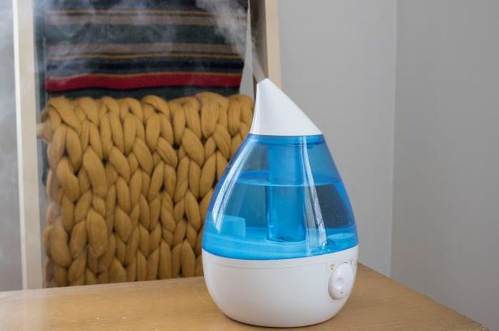 Kata Siapa Tak Perlu Dicuci? Cara Membersihkan Humidifier yang Berjamur ...