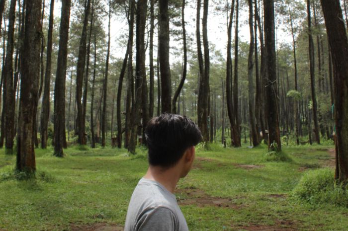 Karakter Weton Rabu Kliwon, Berwatak Lakuning Srengenge yang Punya ...