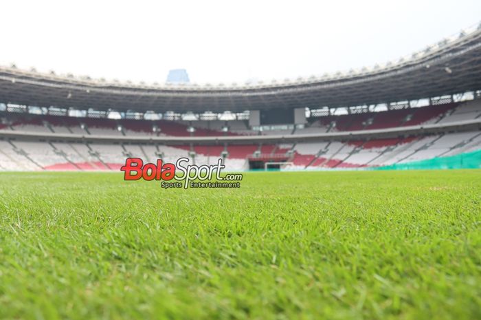 Kejadian Thom Haye Dipastikan Tak Terulang, Pengelola GBK Jamin Pemain Timnas Indonesia Bisa ...