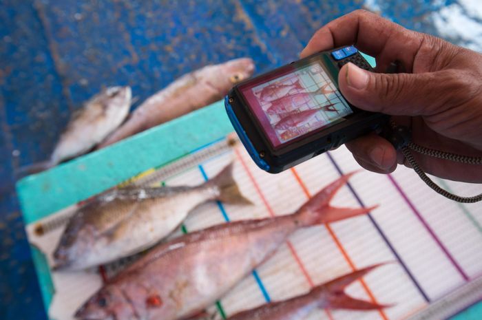 KKP dan YKAN Perkuat Kerja Sama Pengelolaan Perikanan Berkelanjutan ...