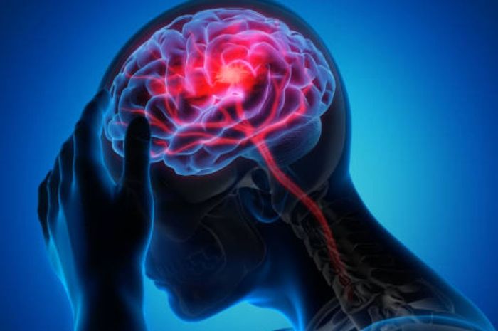 Teka-Teki Ilmiah: Berapa Banyak Bagian Otak untuk Bertahan Hidup ...