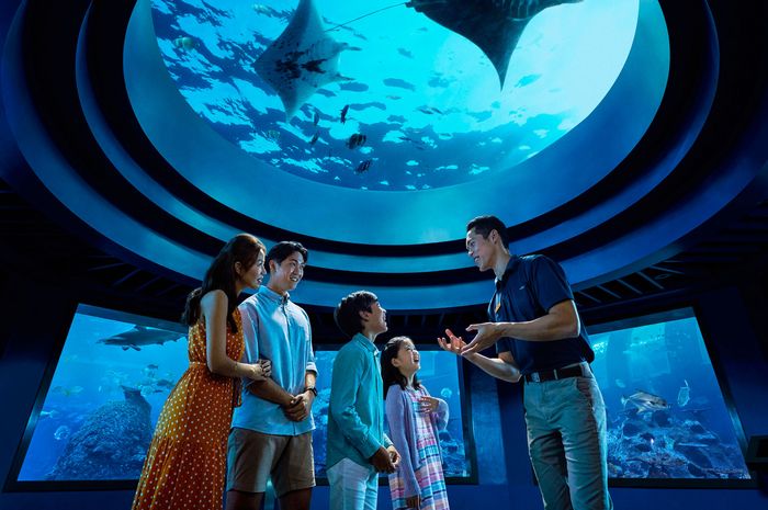 Kisah Fosil Hidup dan Legenda Laut Nusantara di Singapore Oceanarium ...