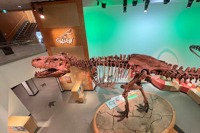 Peneliti Temukan Pembuluh Darah dalam Fosil Dinosaurus T. rex ...