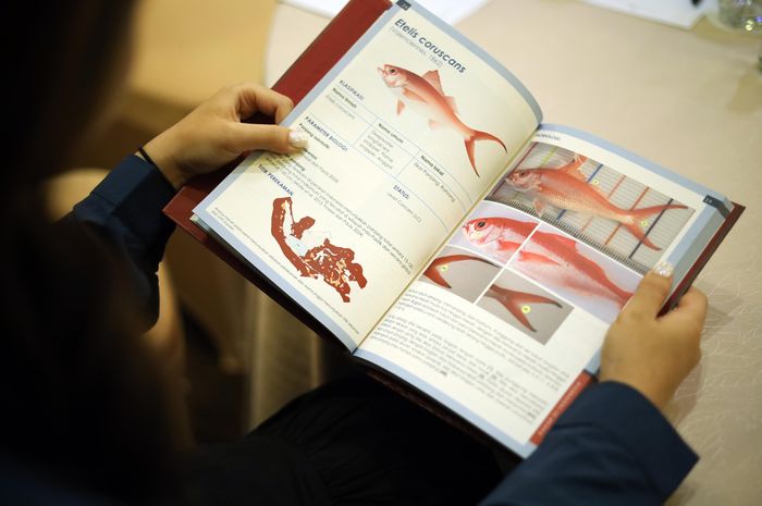 Kakap di Indonesia, Buku Baru untuk Perkuat Basis Ilmiah Pengelolaan ...