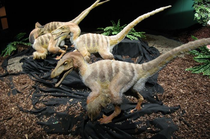 Studi Singkap Beberapa Dinosaurus Ternyata Merupakan Pemilih Makanan ...