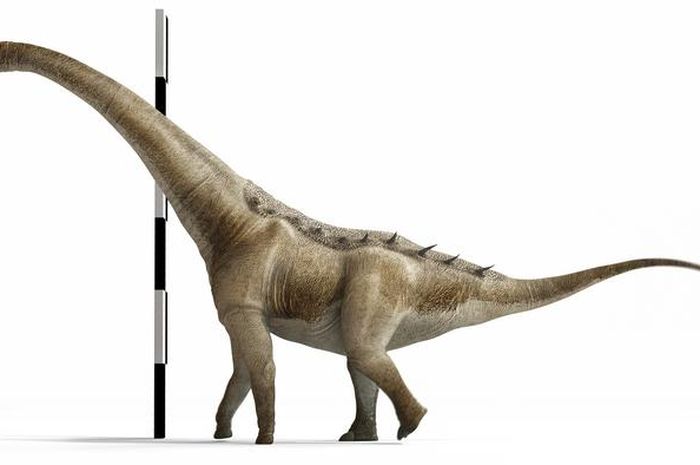 Qunkasaura pintiquiniestra, Dinosaurus Sauropoda Baru dari Spanyol ...