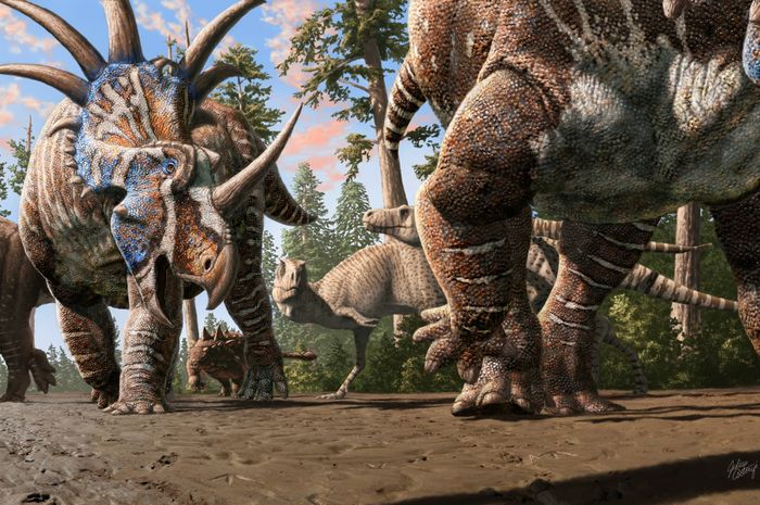 Beberapa Spesies Dinosaurus Hidup Berkelompok, Tidakkah Mereka Saling ...