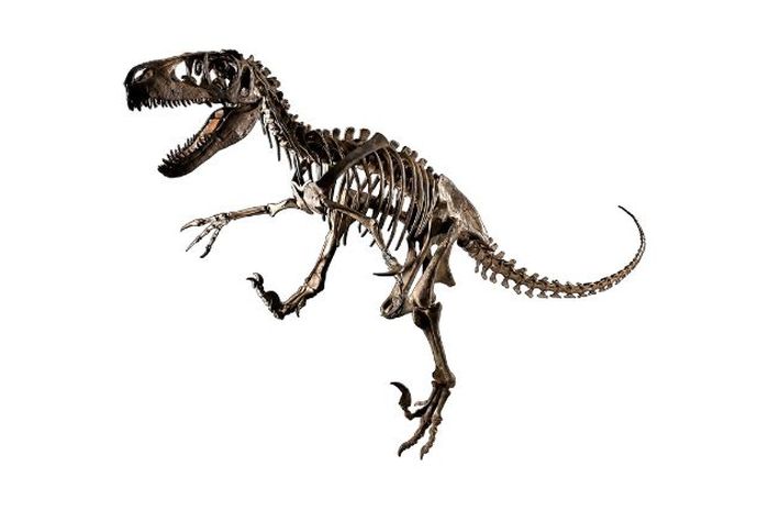 Utahraptor, Dinosaurus dengan Cakar Tajam yang Siap Memangsa Musuh ...