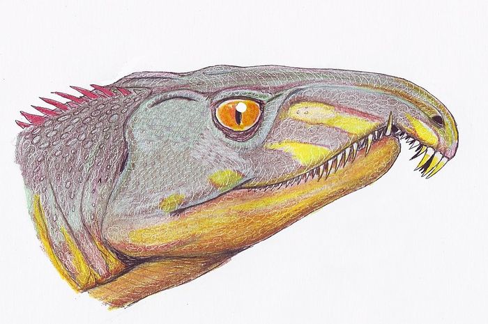 Archosaurus, Sang Reptil Penguasa yang Jadi Nenek Moyang para ...