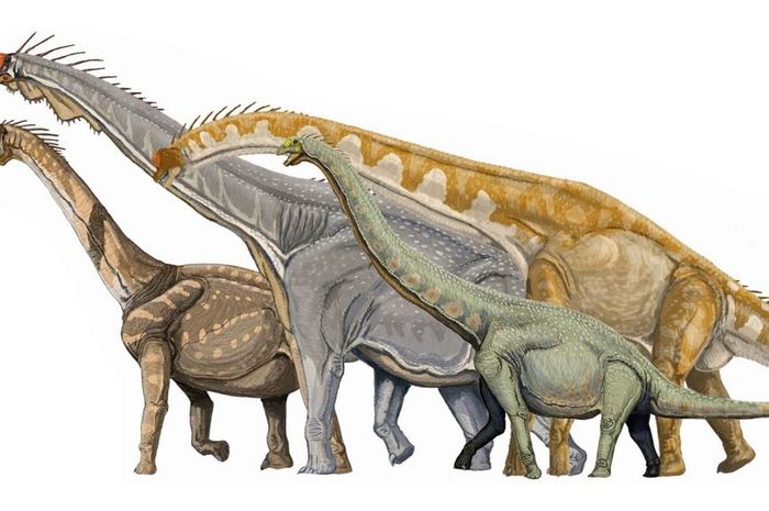Mengapa Dinosaurus Sauropoda Lebih Suka Hidup di Daerah Hangat ...