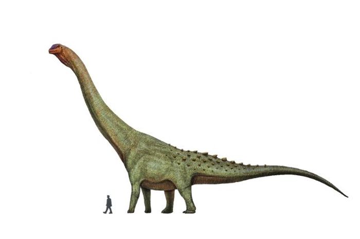 Patagotitan, Dinosaurus yang Mendapat Predikat 'Hewan Darat Terbesar di ...
