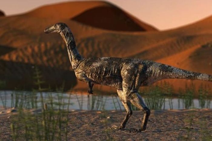 Vespersaurus paranaensis, Dinosaurus Aneh dari Brasil yang Menapak di ...