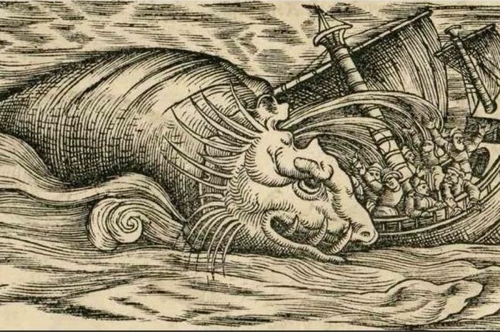 Teror Monster Laut di Konstantinopel pada Abad ke-6, Apakah Itu Orca ...
