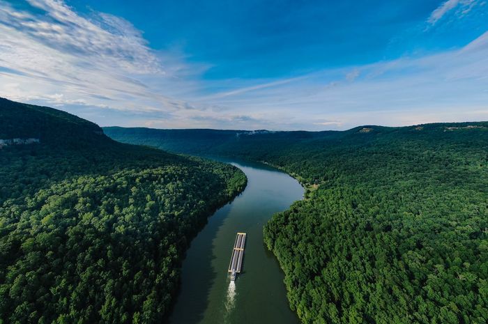 Hutan Dapat Bantu Lestarikan Air di Planet Kita, Bagaimana Caranya? - Bobo