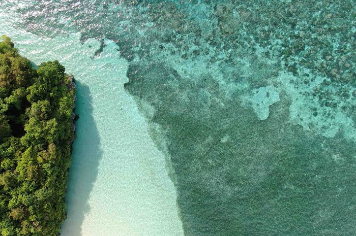 Indonesia Luncurkan Peta Karang dan Padang Lamun, Ungkap Eksotika Data ...