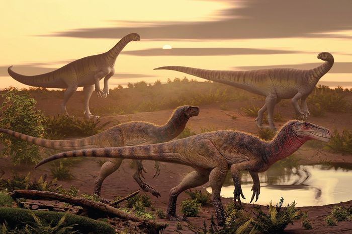 Bagaimana Rasanya Hidup di Zaman Dinosaurus? - National Geographic