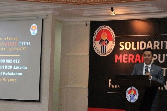 Menpora: Kemenpar Beri Respons Positif untuk Bantu Rio Haryanto - Juara.net