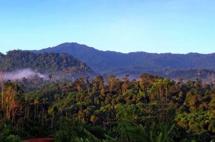 Moratorium Hutan Indonesia Belum Berjalan - National Geographic Moratorium Hutan Indonesia Belum Berjalan - National Geographic