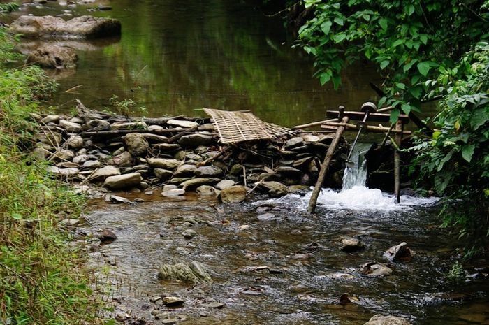 Listrik Masuk, Warga di Lembah Gunung Ranaka Bersukacita - National ...