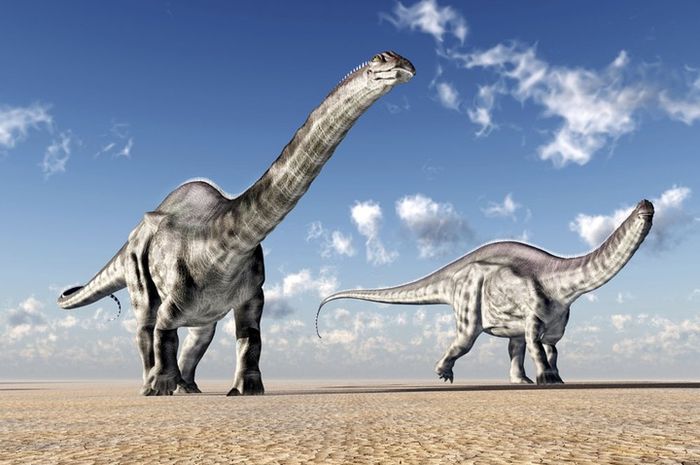 Kelanjutan Status Brontosaurus - National Geographic