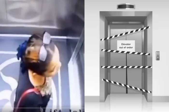 Belajar dari Kasus Aisiah Sinta Dewi, Ini Prosedur Jika Terjebak di ...