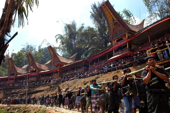 Upacara Rambu Solo', Ritual 'Menuju Keabadian' dari Tana Toraja