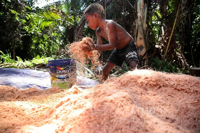 Mengapa Sagu Merupakan Produk Pangan Lokal yang Sangat Menjanjikan pada ...