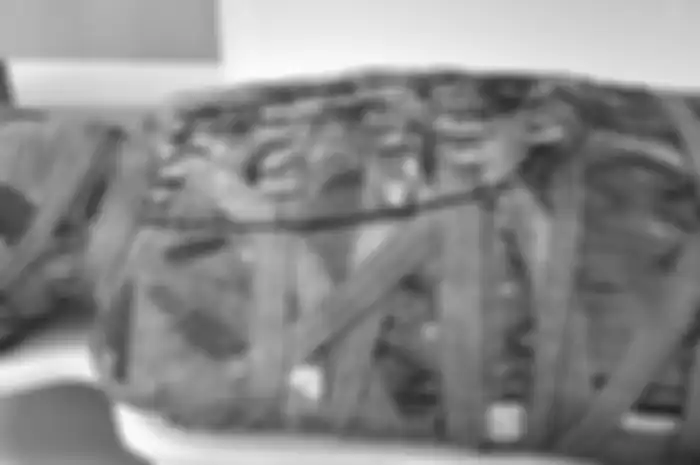 Begini Rupanya Wajah di Balik Perban Mumi Mesir Kuno Berumur 2.797 ...