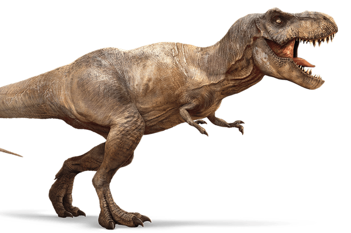 Terungkap! Ternyata Ini Fungsi Tangan Kecil T-rex yang Sering Dicengin ...