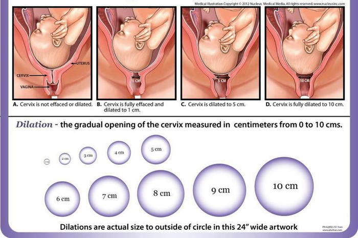 proses persalinan normal