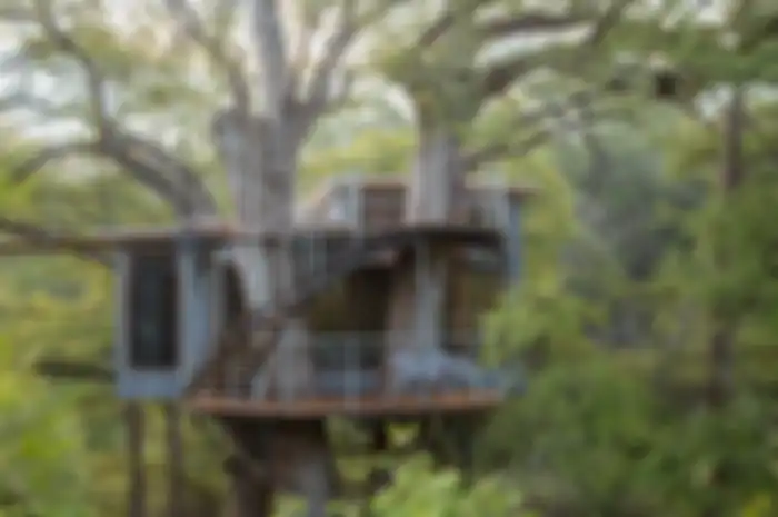 Inspirasi Desain Rumah Pohon, Rindang dan Teduhnya Ada di Atas Sungai