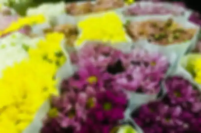 Rencana Beli Bunga untuk Natal? Ini Kisaran Harga di Pasar Rawa Belong